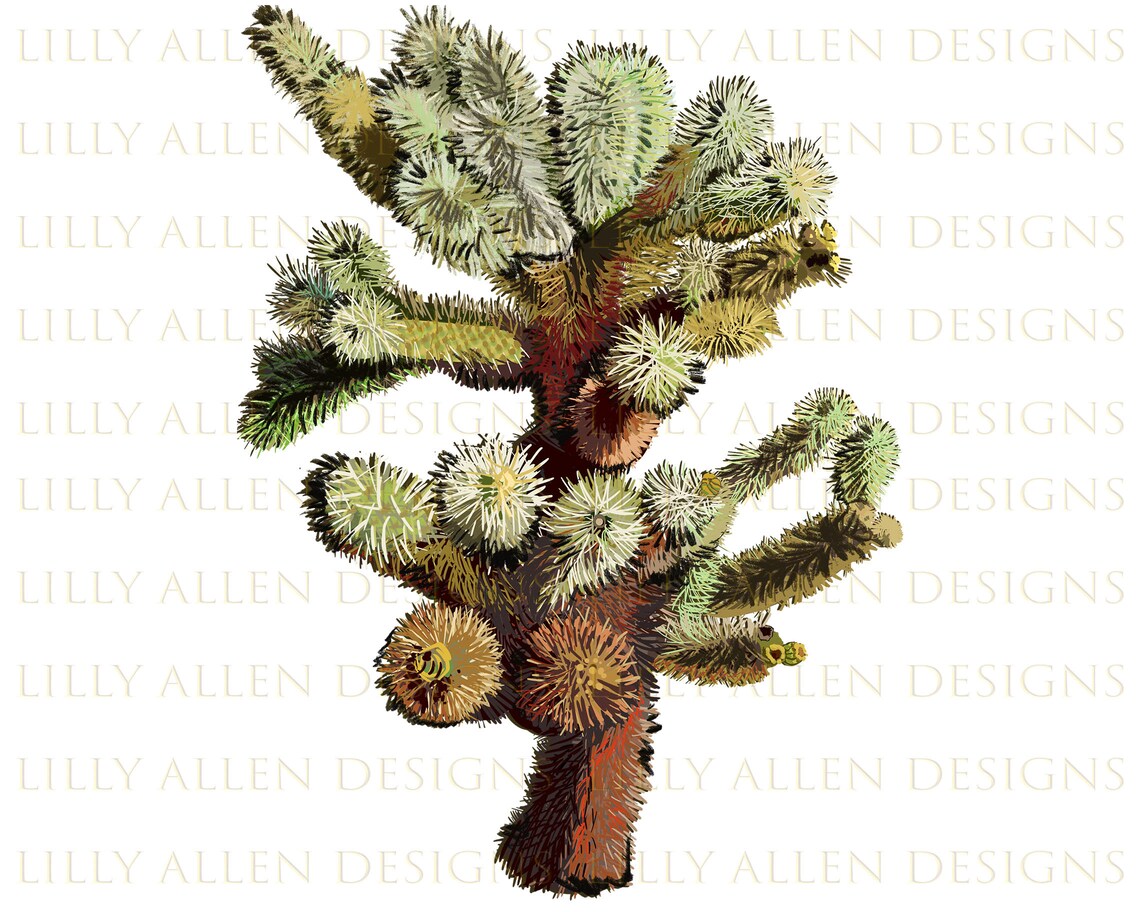 Cholla Tree Cactus Png Cactus Png Sublimation Design Cholla - Etsy
