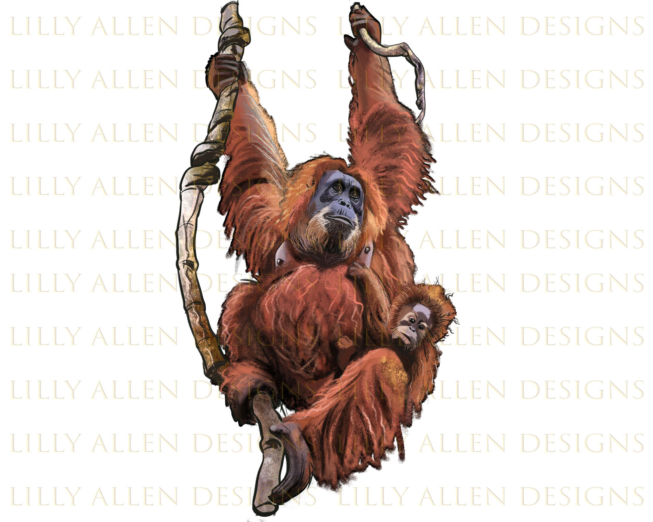 Orangutan and Baby Png Sublimation Design Hand Drawn - Etsy