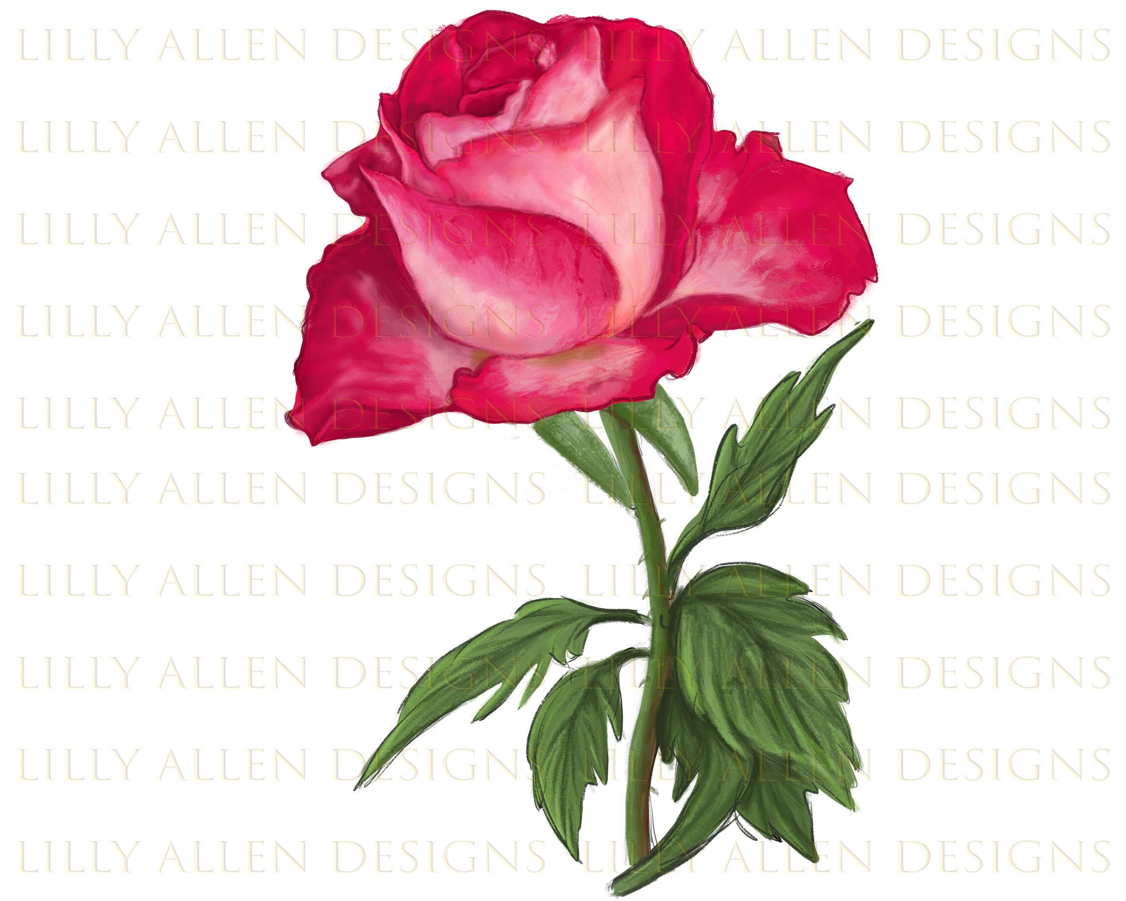 Derrick Rose Allan Rose