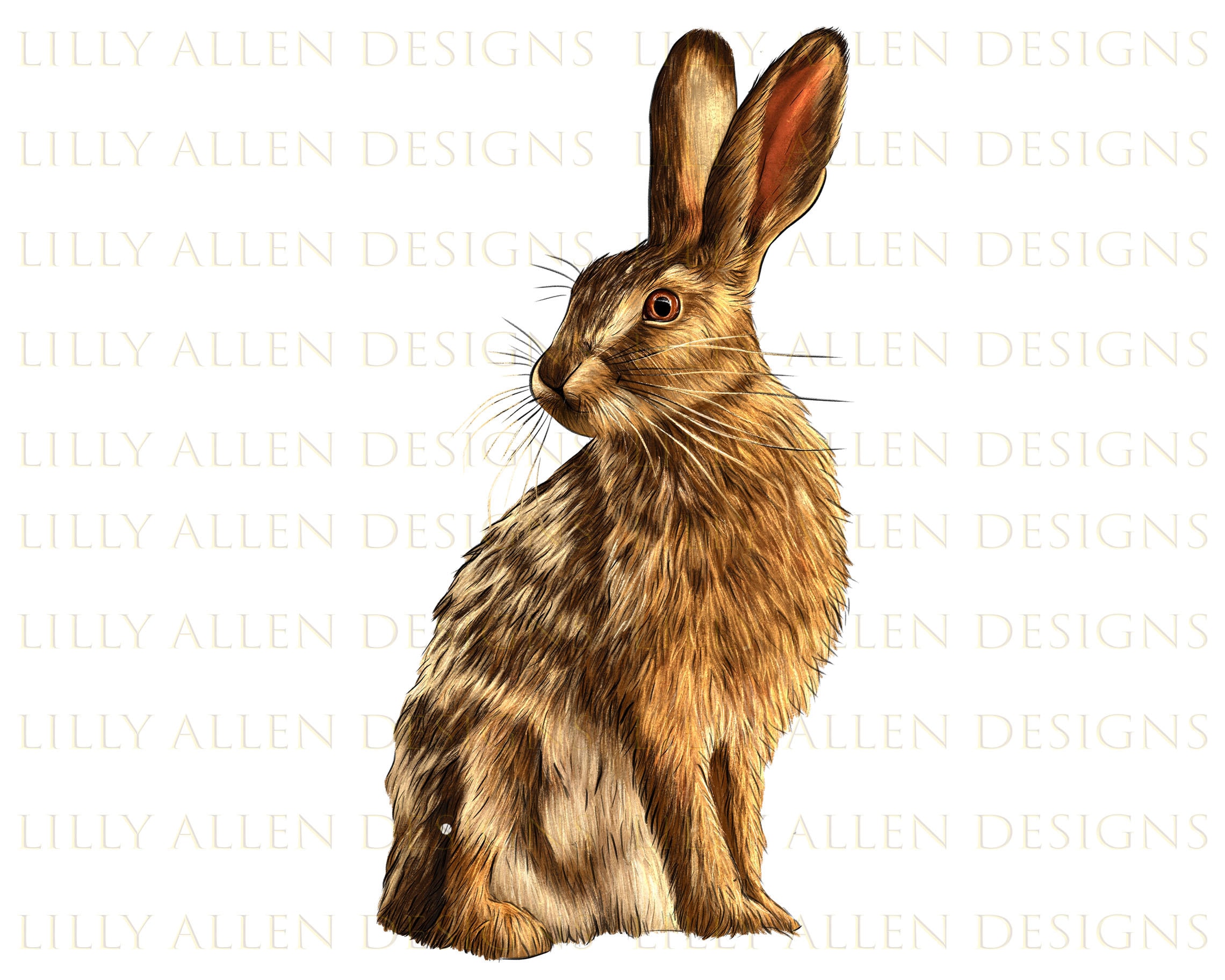 Hares Illustrations Png Digital Download,rabbit Sublimation Png ...