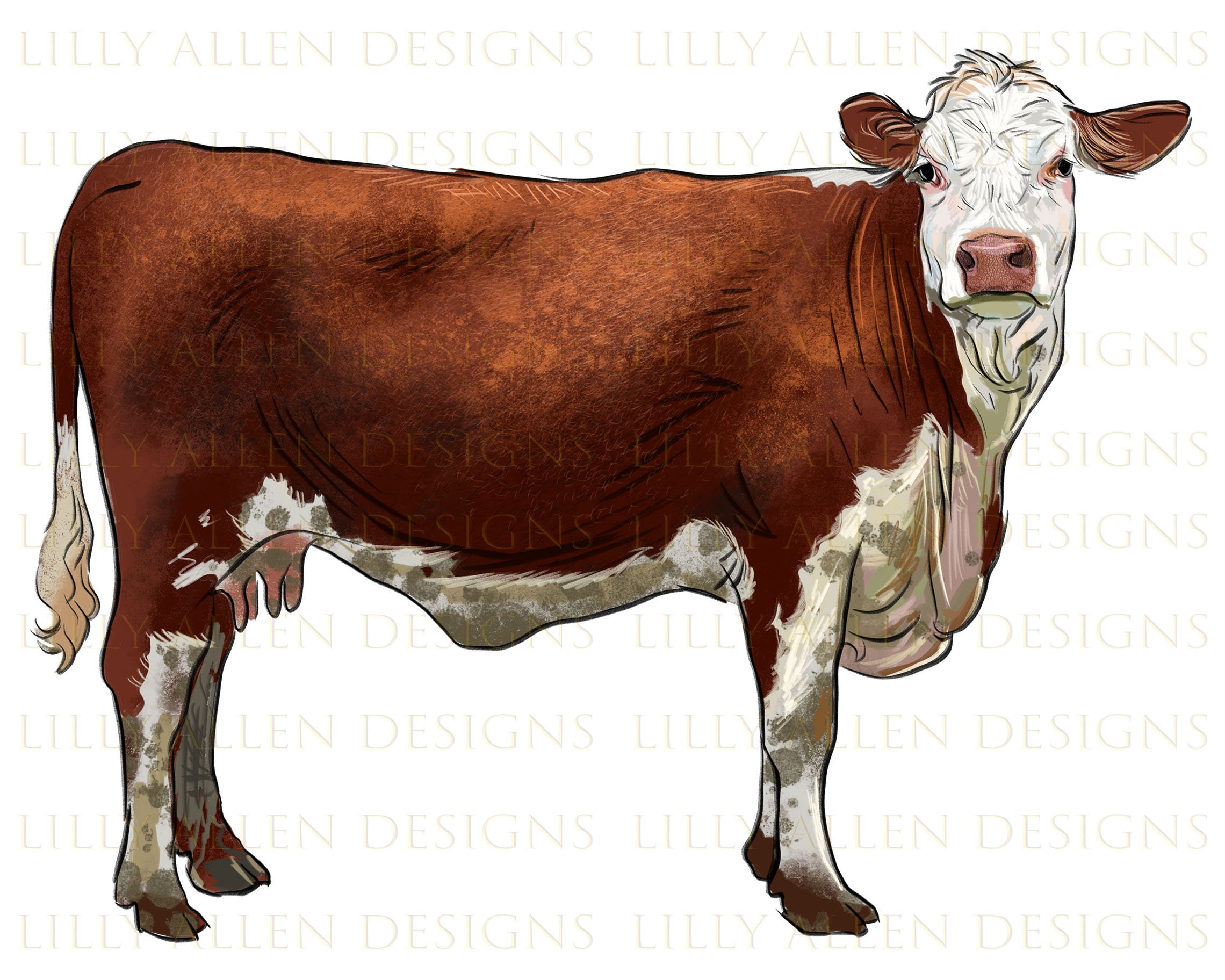 Hereford Cow Png Western Hereford Cow Png Cow Png Cattle | Etsy
