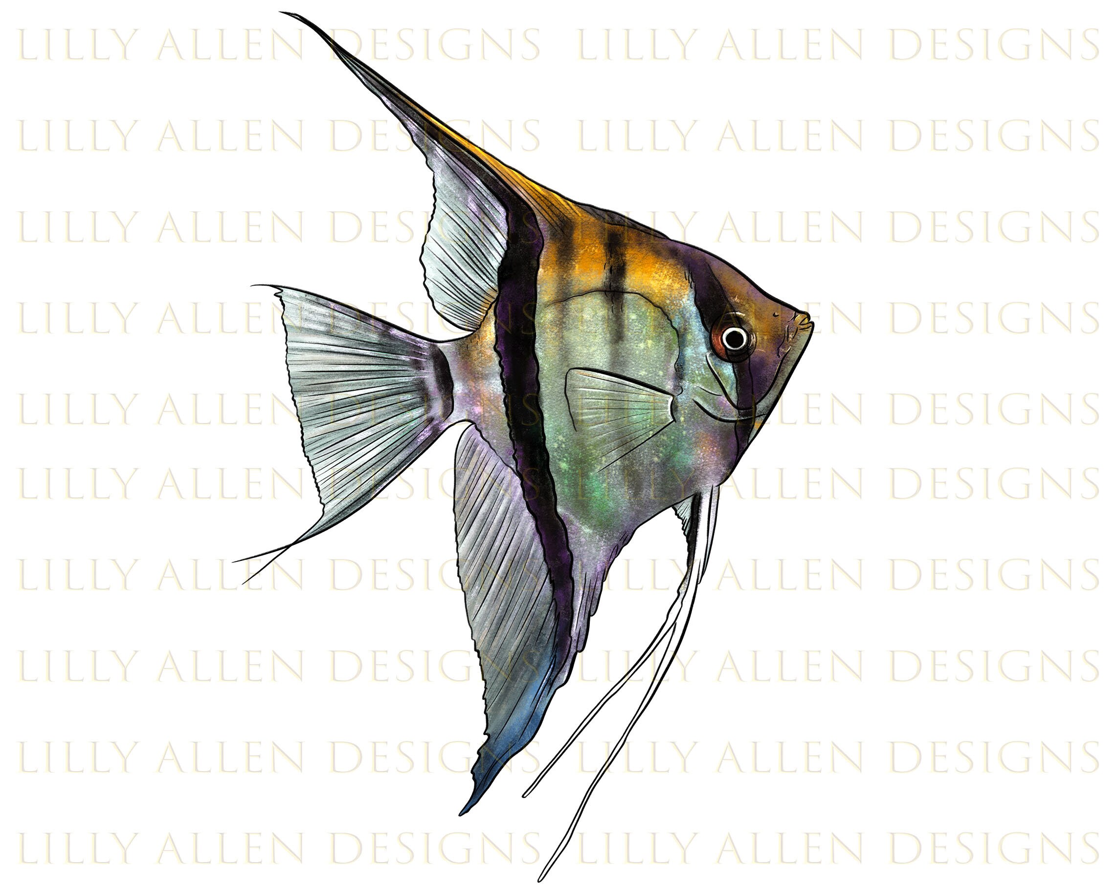 Angel Fish Png