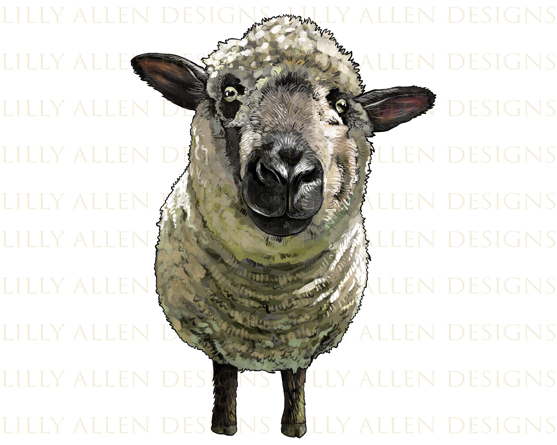 Hampshire Sheep Head Pnghampshire Sheep Pnghand Drawn | Etsy