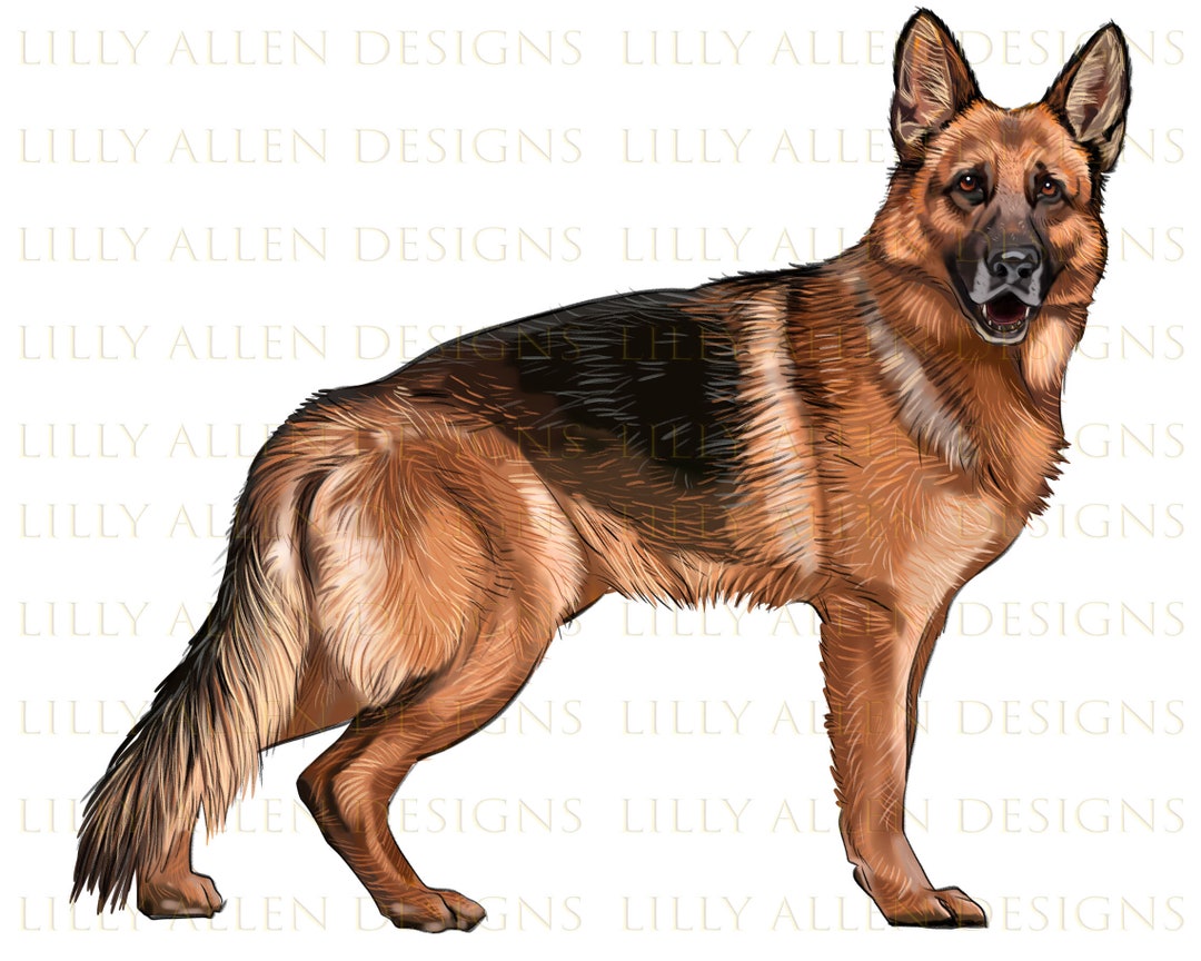 German Shepherd Dog Illustrations Png Digital Download Dog - Etsy