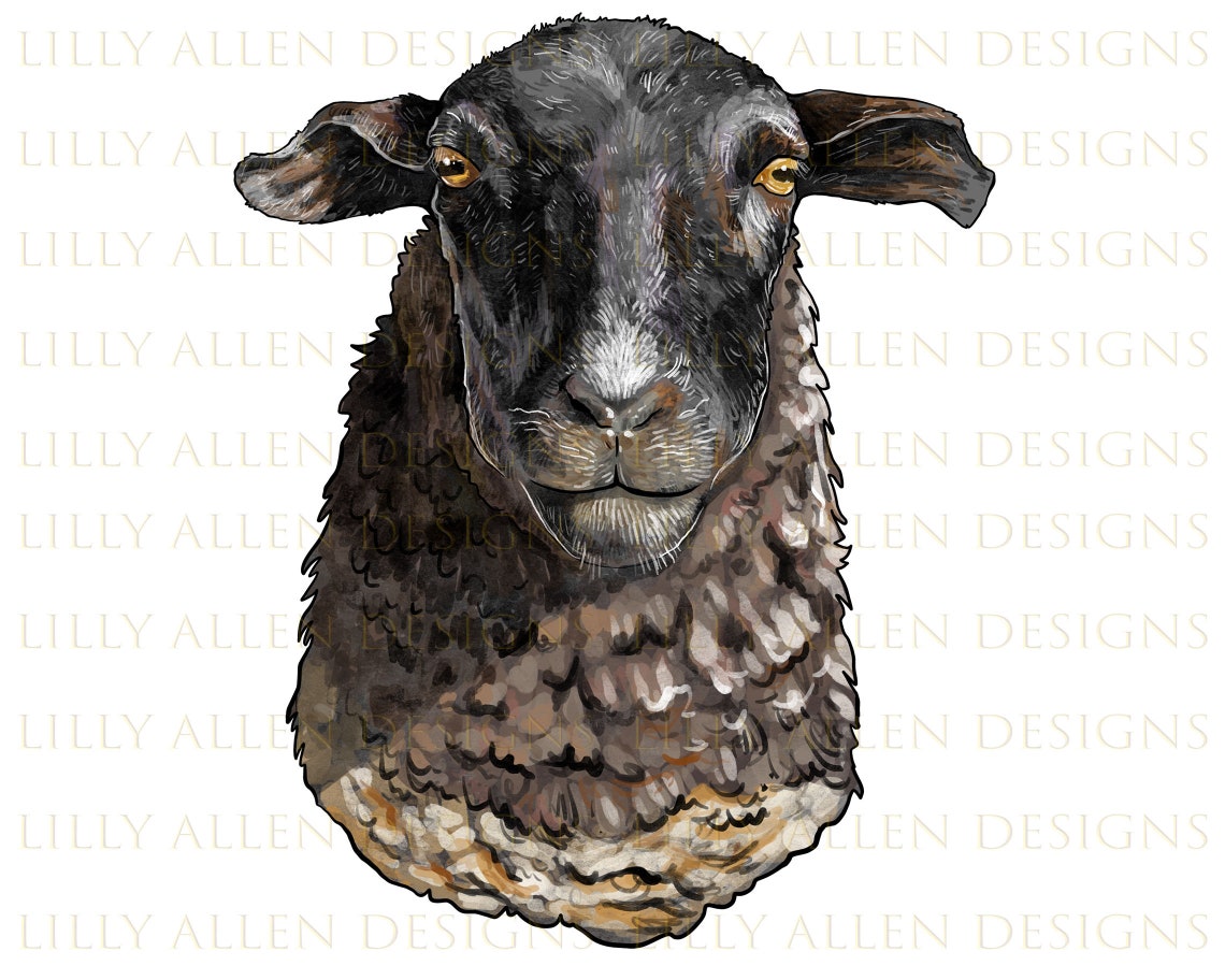 Dorper Sheep Head Png Dorper Sheep Png Handgezeichnete | Etsy Österreich