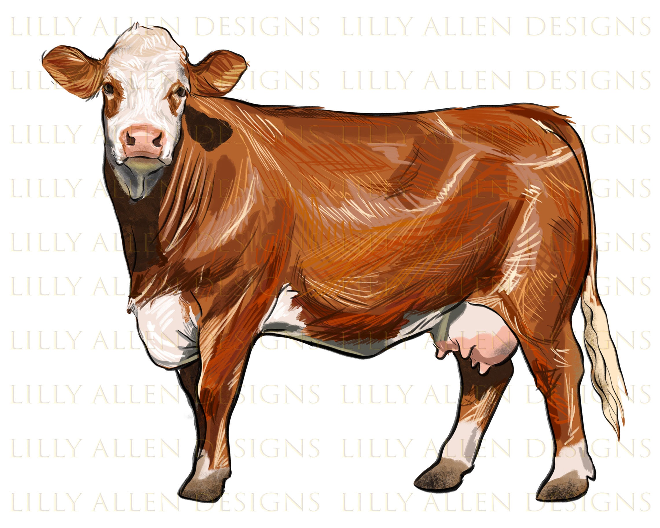 Clip Art Beef Cow