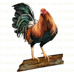 Roosters - Etsy