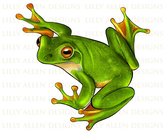 White-lipped Tree Frog Illustrations Png Digital Downloadfrog | Etsy