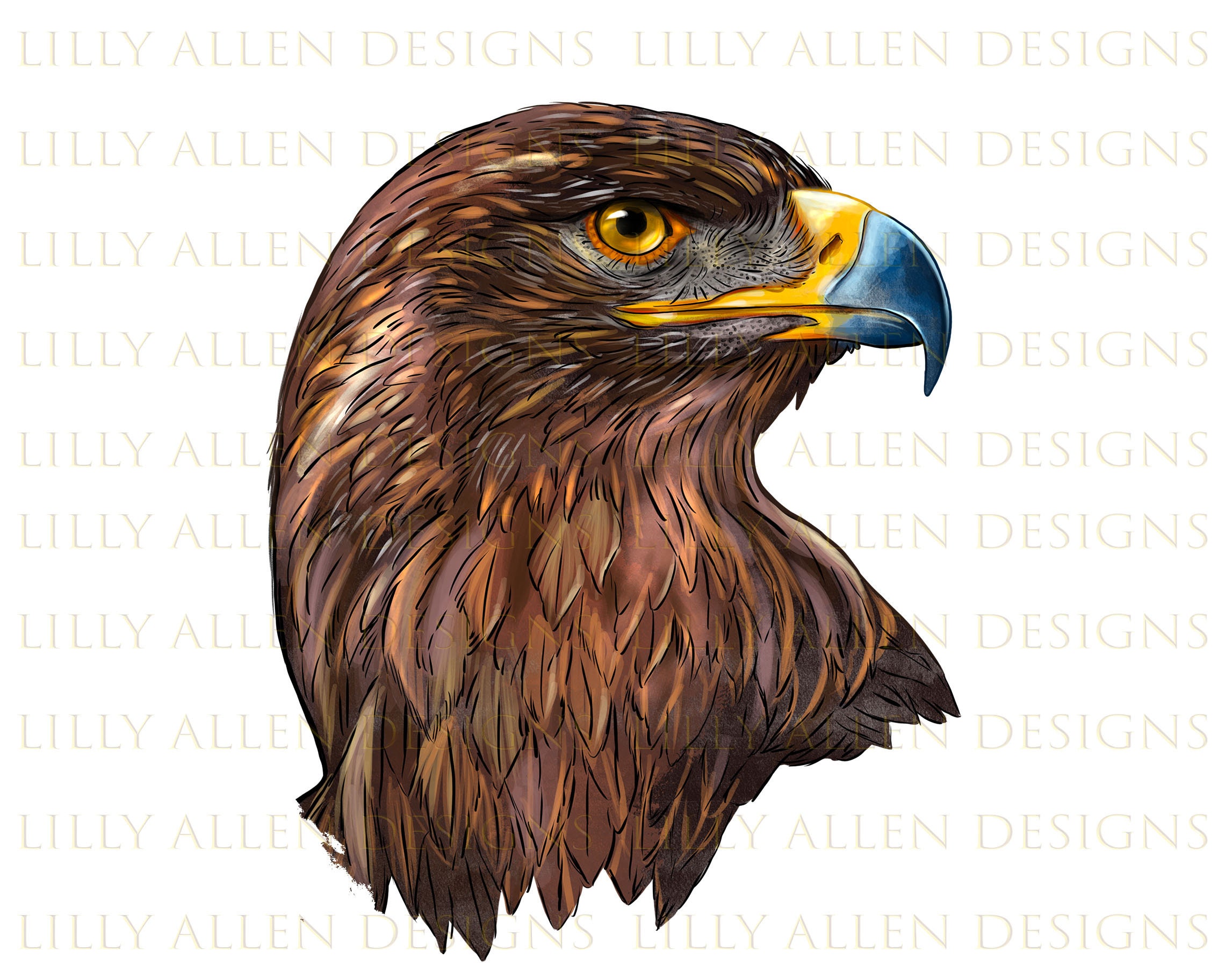 Golden Eagle Drawing Head