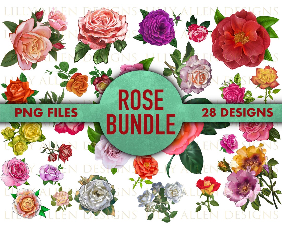 Rose Bundle Png Sublimation Design, Set of 28 Rose Png, Hand Drawn Rose ...