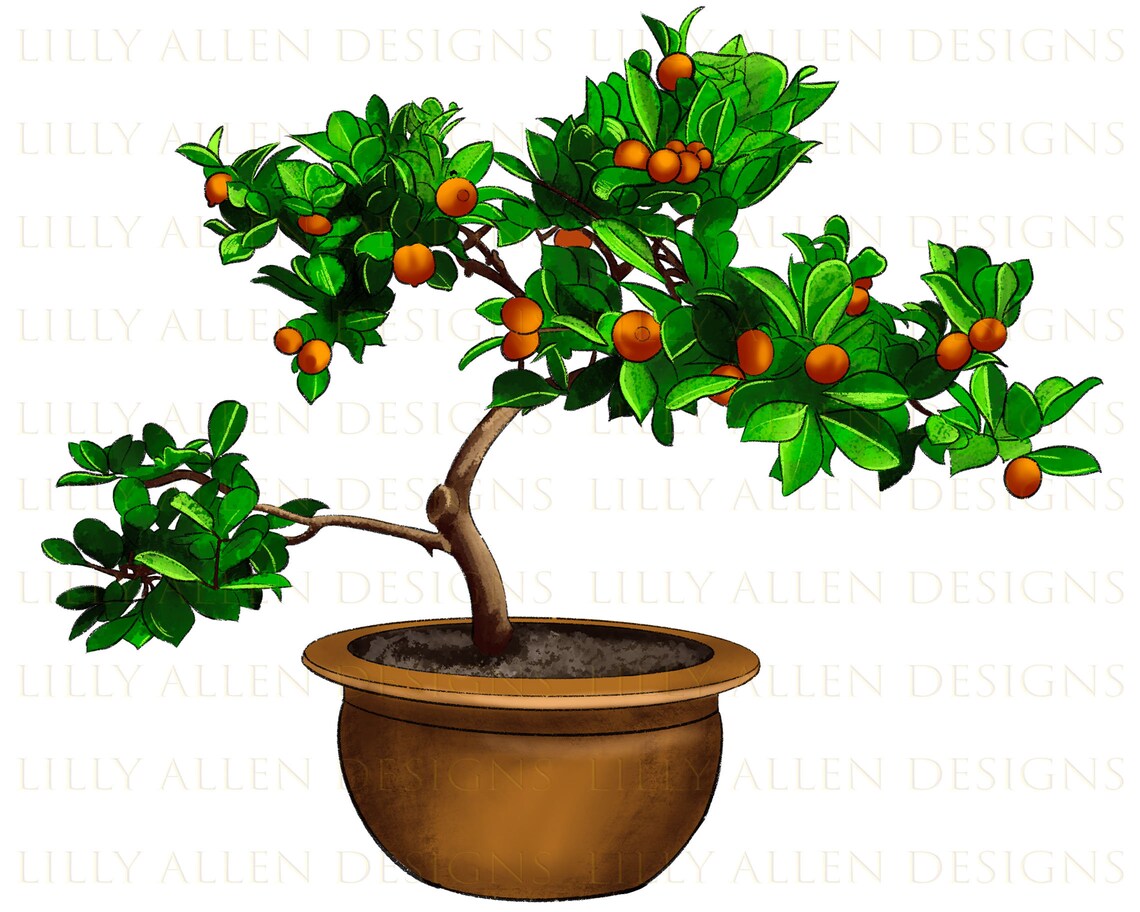 Guava Tree Bonsai Illustrations Png Digital Downloadbonsai - Etsy