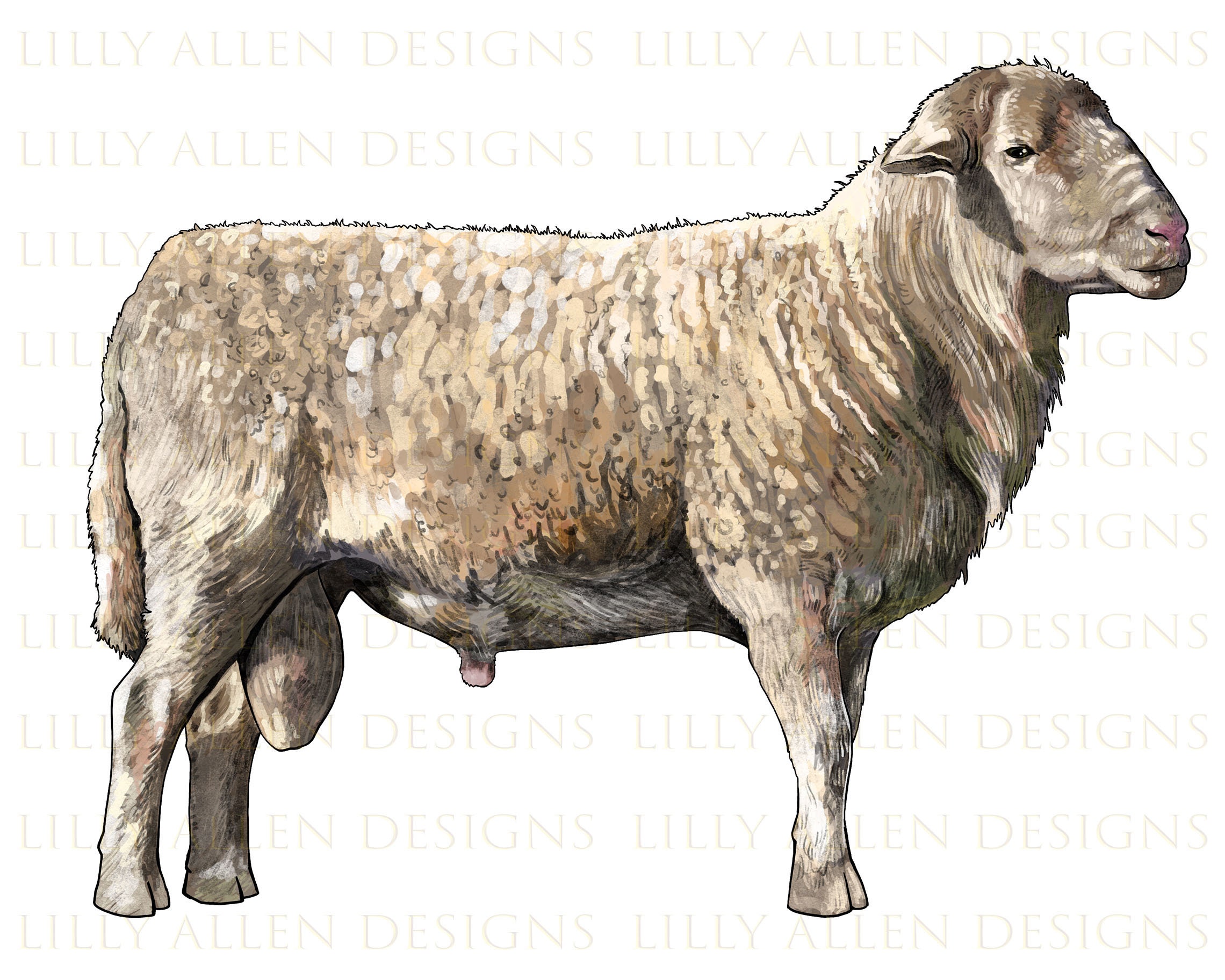 Sheep Ornament Collectables - Etsy