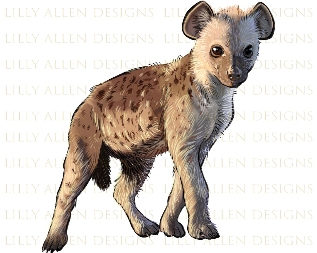 Cute Hyena Drawing