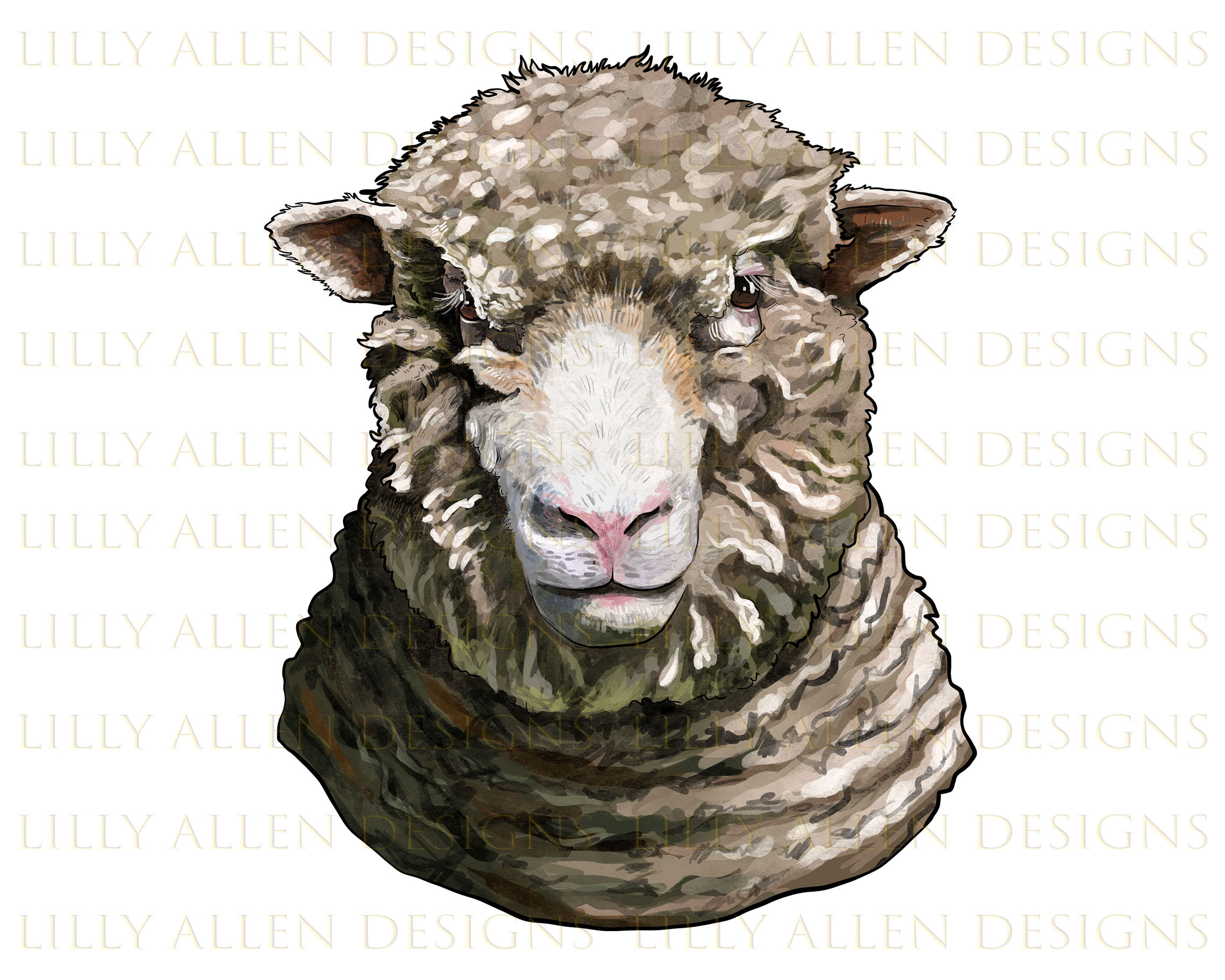 Sheep Head Sketch