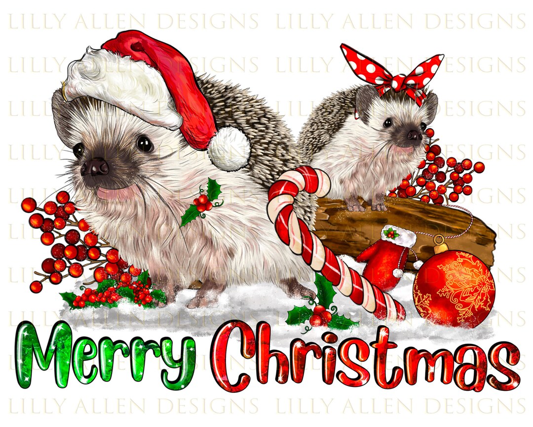 Merry Christmas Hedgehog Png Sublimation Design,christmas Hedgehog Png ...