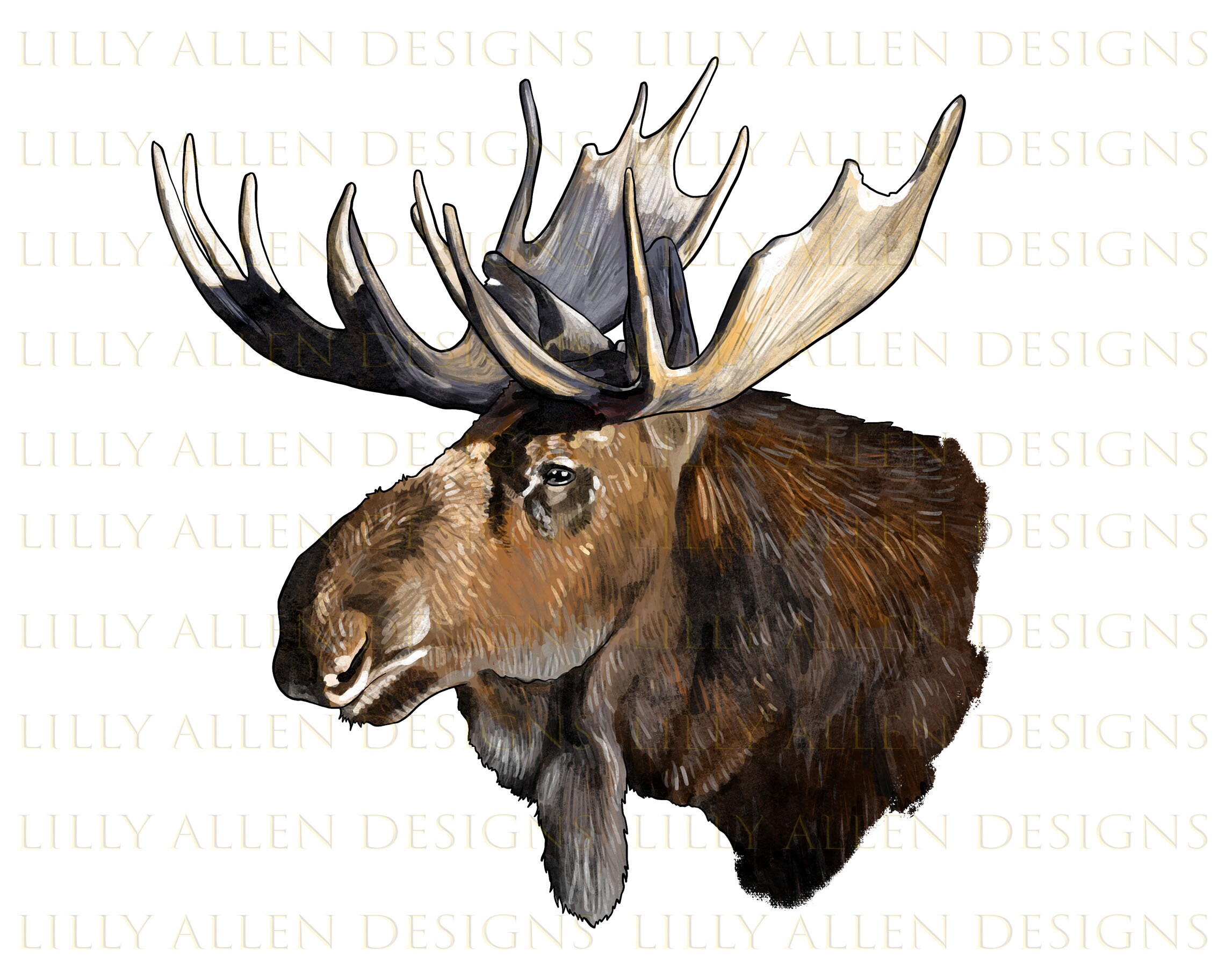 Moose Head Design