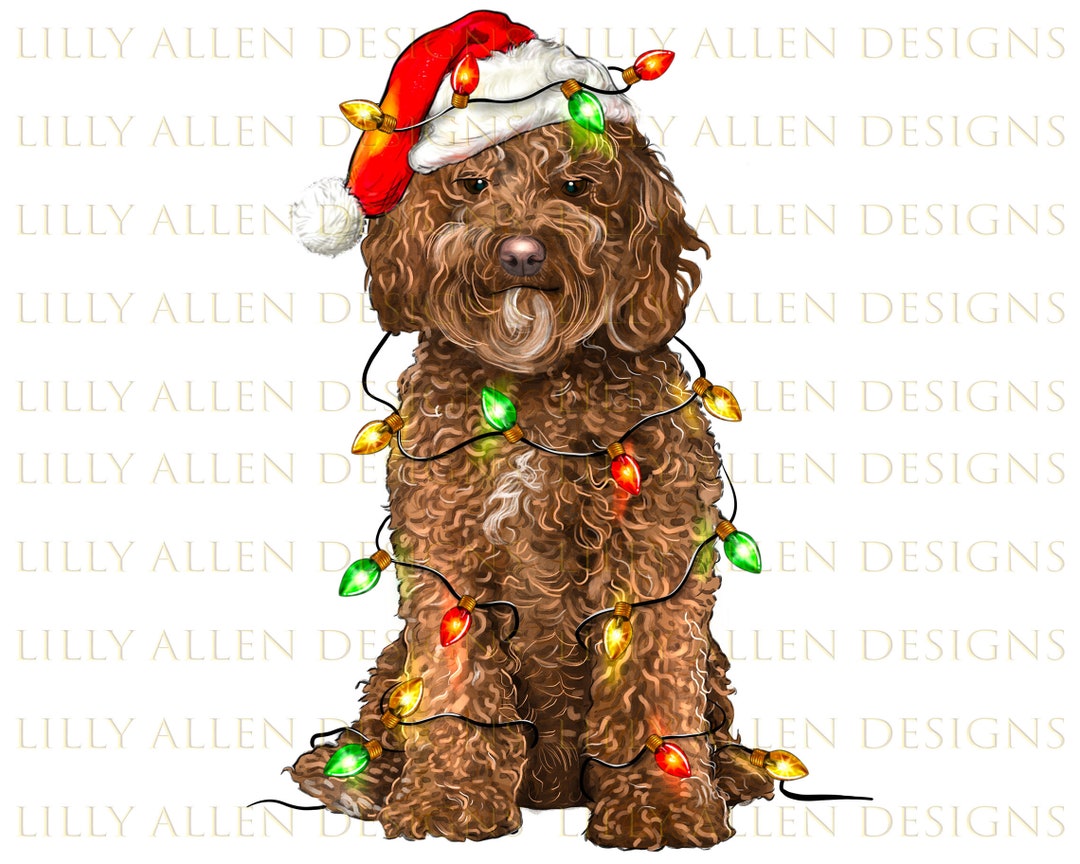 Christmas Labradoodle Dog Png Sublimation Design, Christmas Animal Png ...