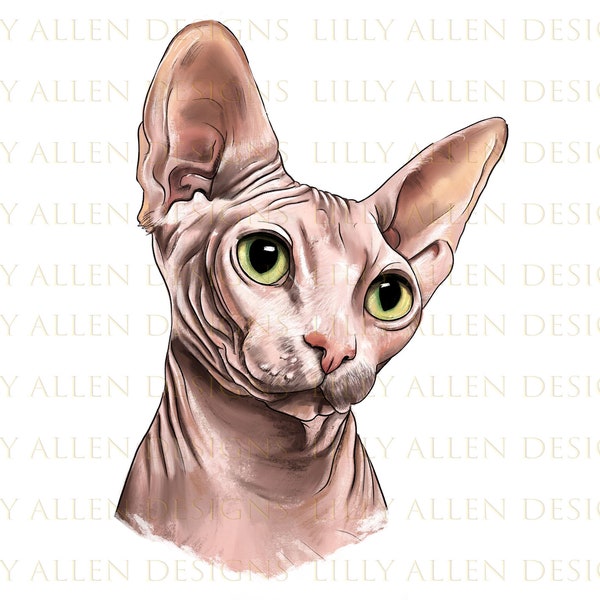 Sphynx Cat - Etsy