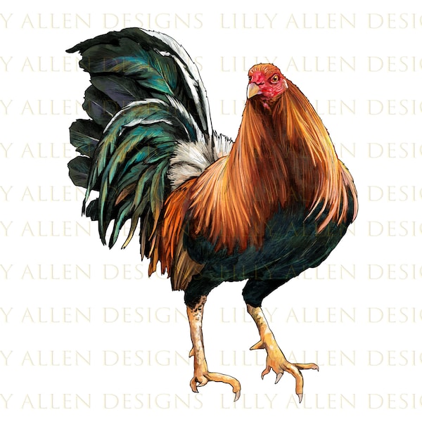Rooster Svg - Etsy