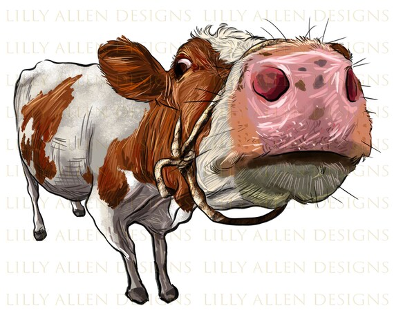 Cute Simmental Cow Png Western Simmental Cow Png Cow Png - Etsy