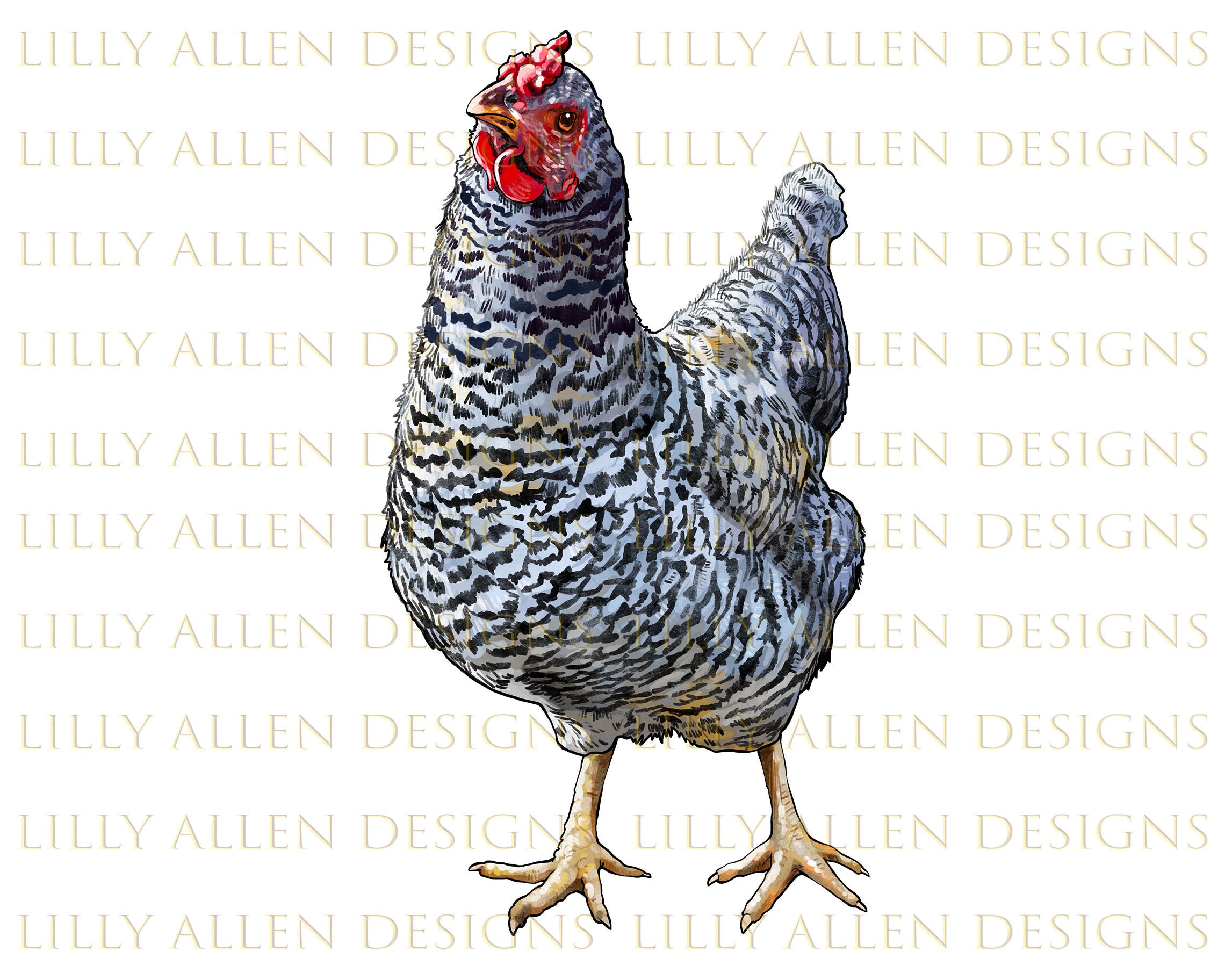 Dominique Huhn Png, Huhn Png, Huhn Sublimation Design, Huhn Portrait ...