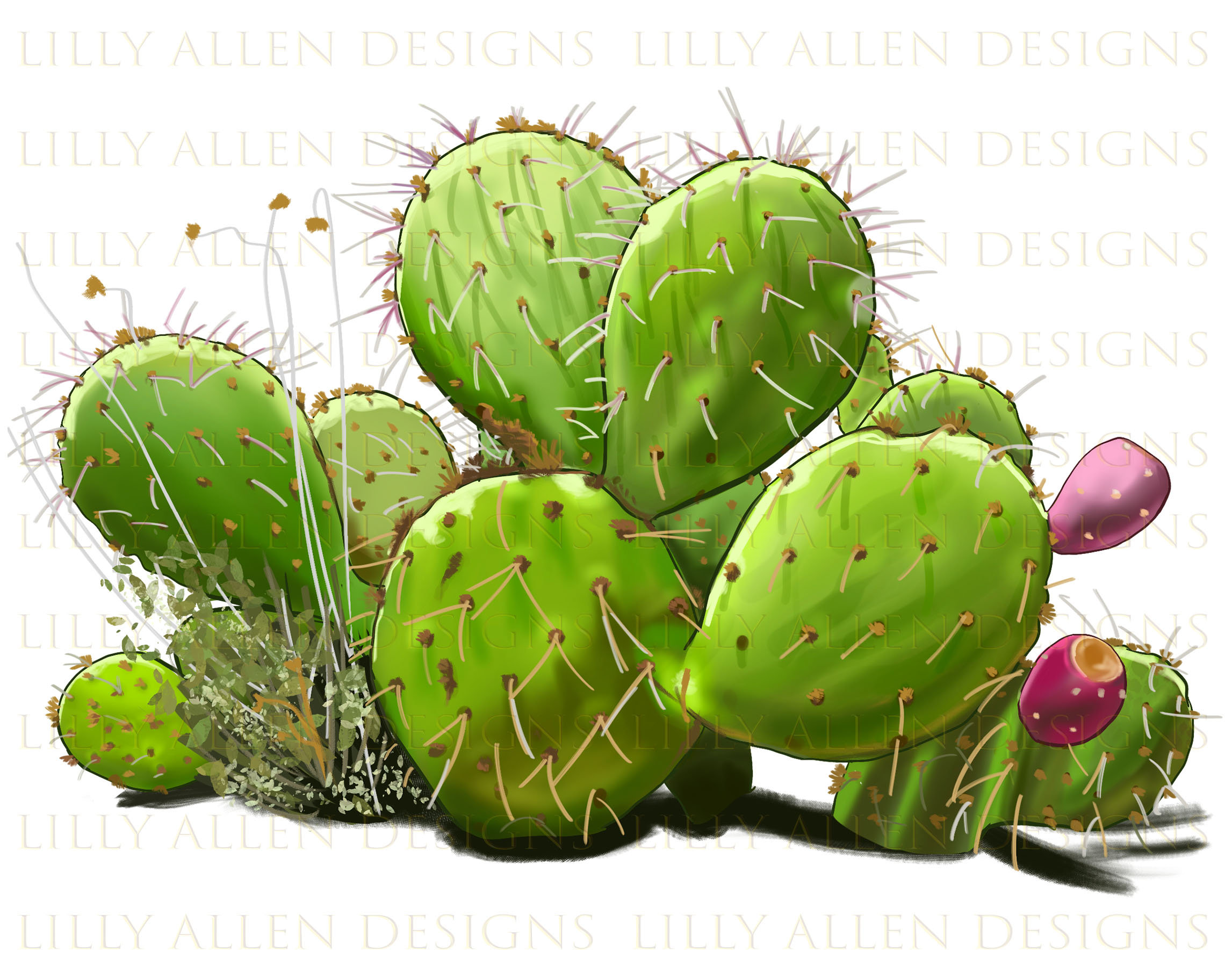 Prickly Pear Cactus Clip Art
