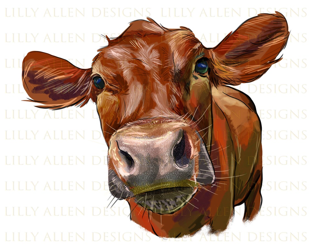 Red Angus Face Png, Western Red Angus Cow Png, Cow Png, Cattle Png, Cow ...