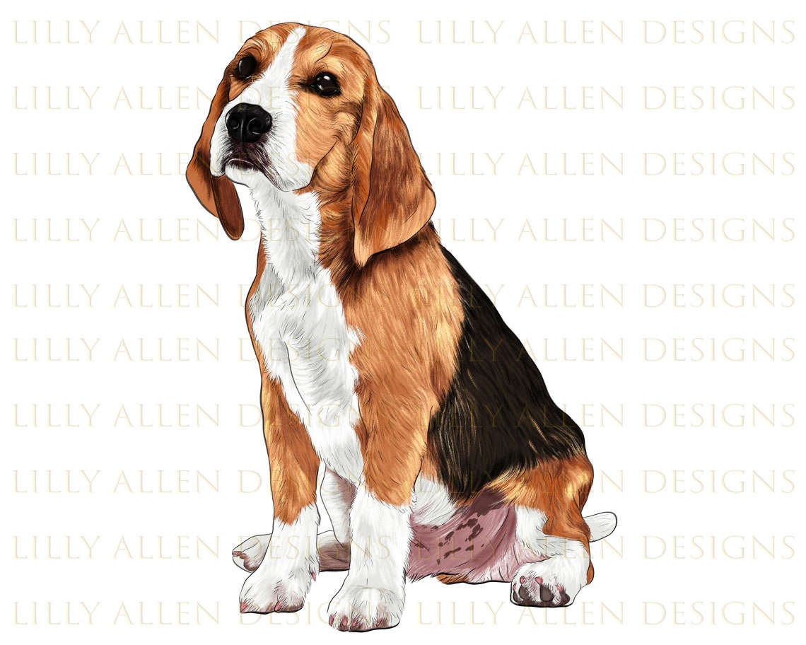 Beagle Dog Illustrations Png Digital Download Dog Png - Etsy