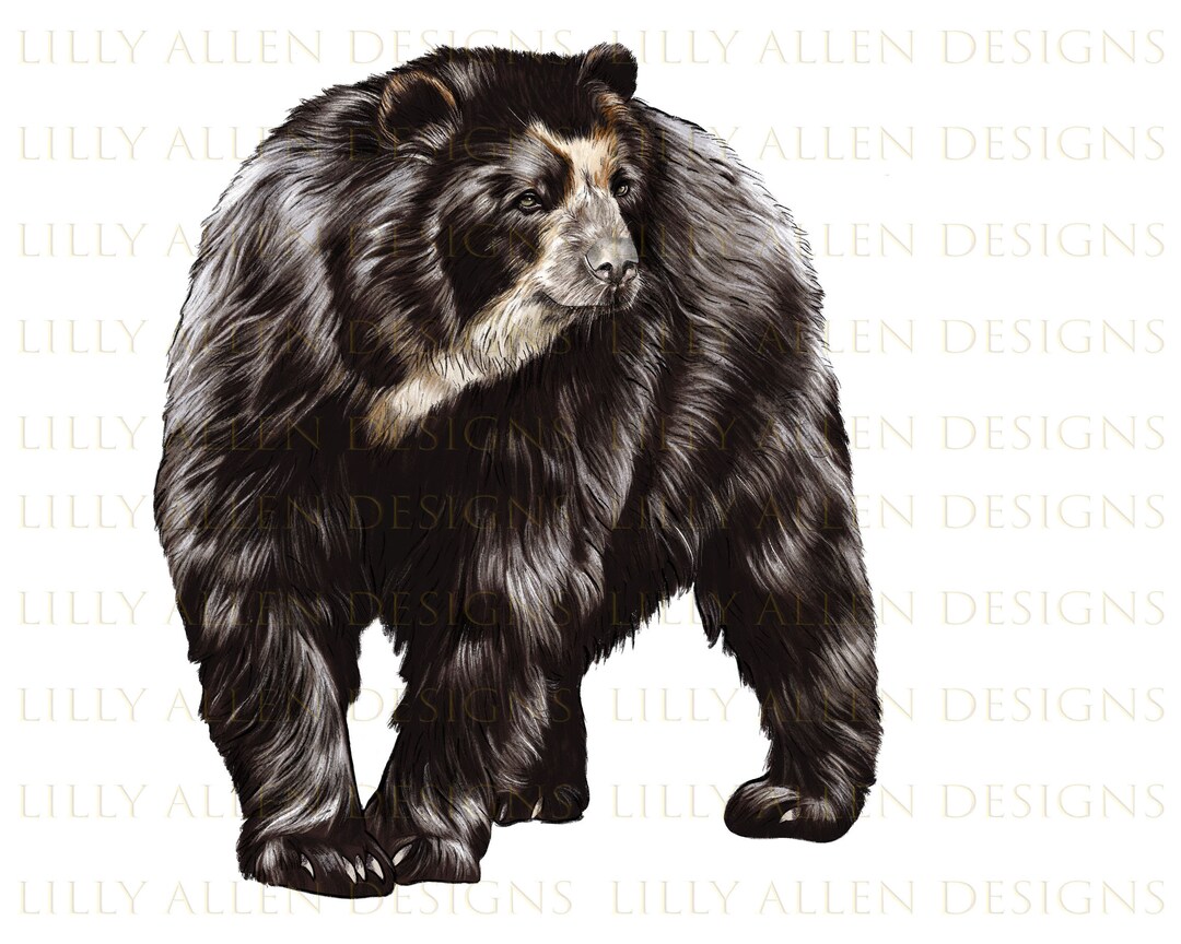 Spectacled Bear Png Sublimation Design, Hand Drawn Spectacled Bear Png ...