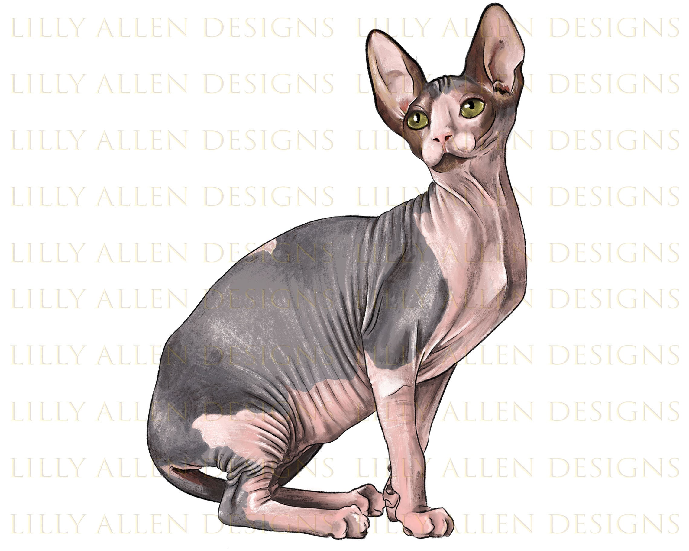 Sphynx Cat Png Cat Png Sphynx Cat Sublimation Design Sphynx - Etsy ...
