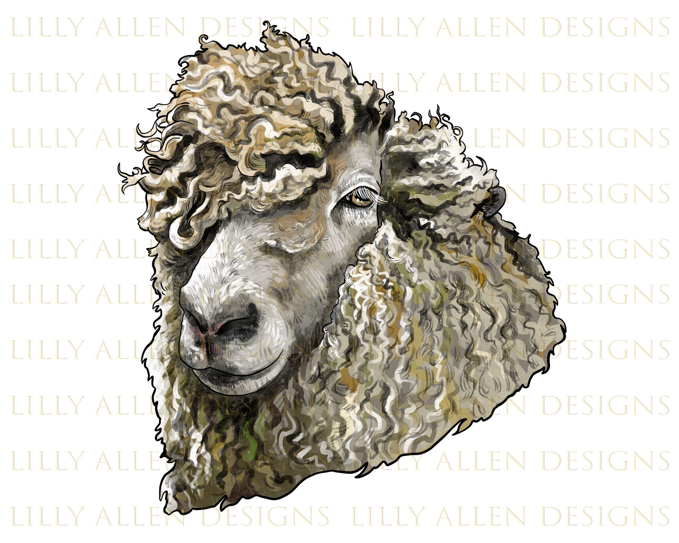 Realistic Sheep Head Drawing