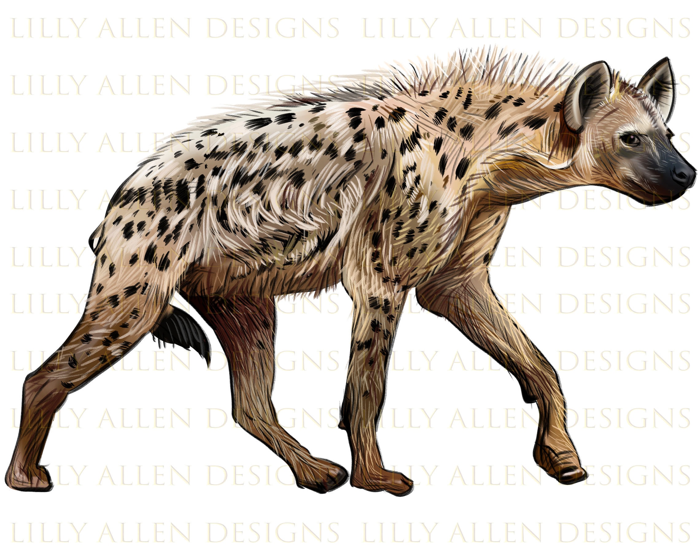 Hyena Illustrations Png Digital Download, Animal Sublimation Png ...