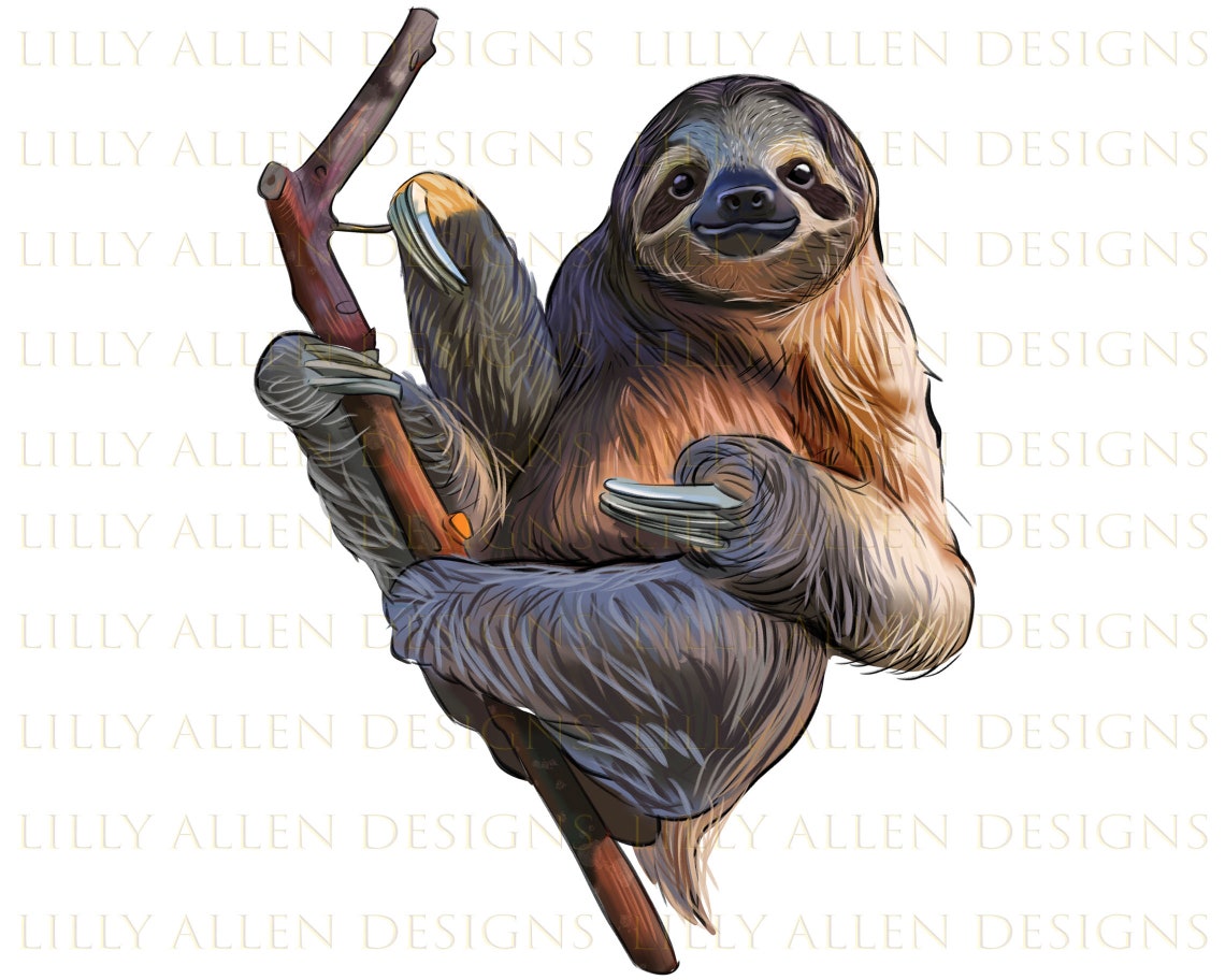 Sloth Illustrations Png Digital Downloadsloth Sublimation - Etsy