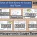 Ancient Mesopotamia Escape Room Activity - Etsy