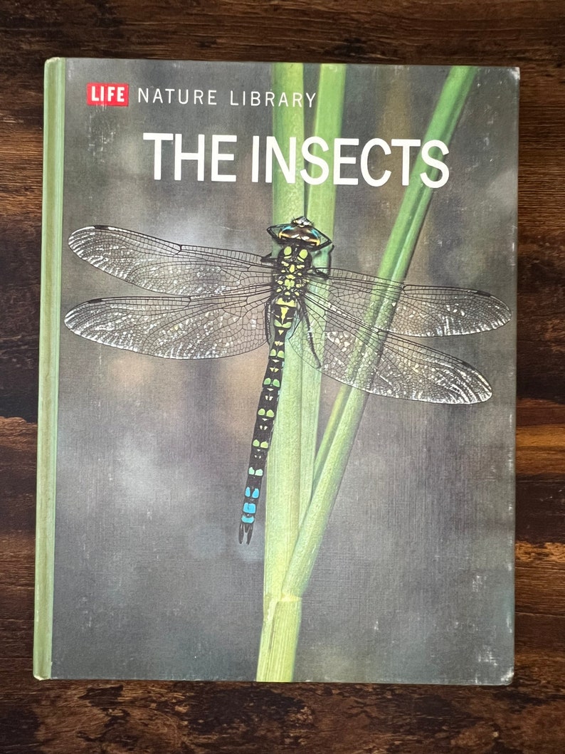 1970 Life Nature Library: the Insects - Etsy