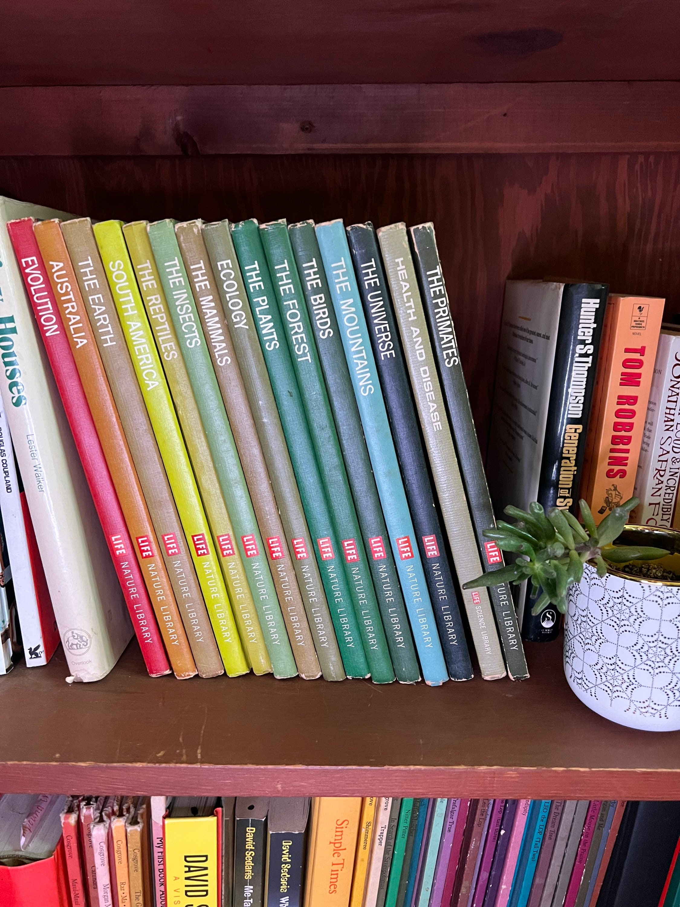 1969 Life Nature Library: the Birds - Etsy