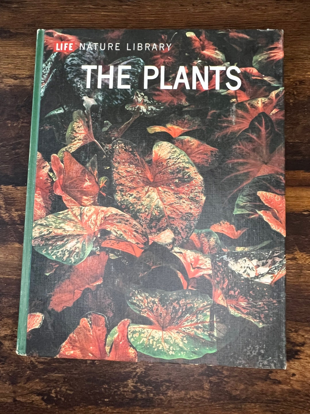 1969 Life Nature Library: the Plants - Etsy