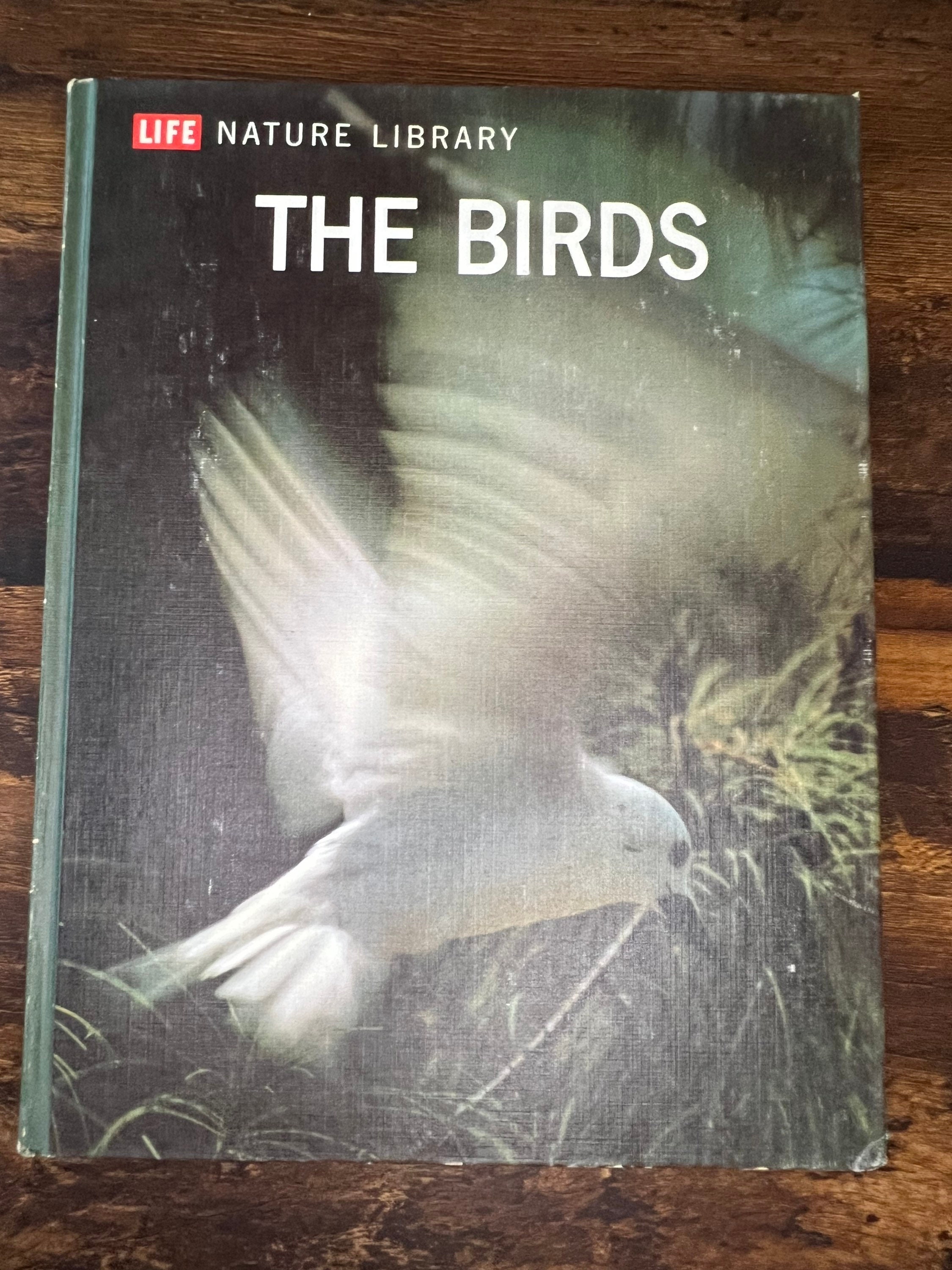 1969 Life Nature Library: the Birds - Etsy