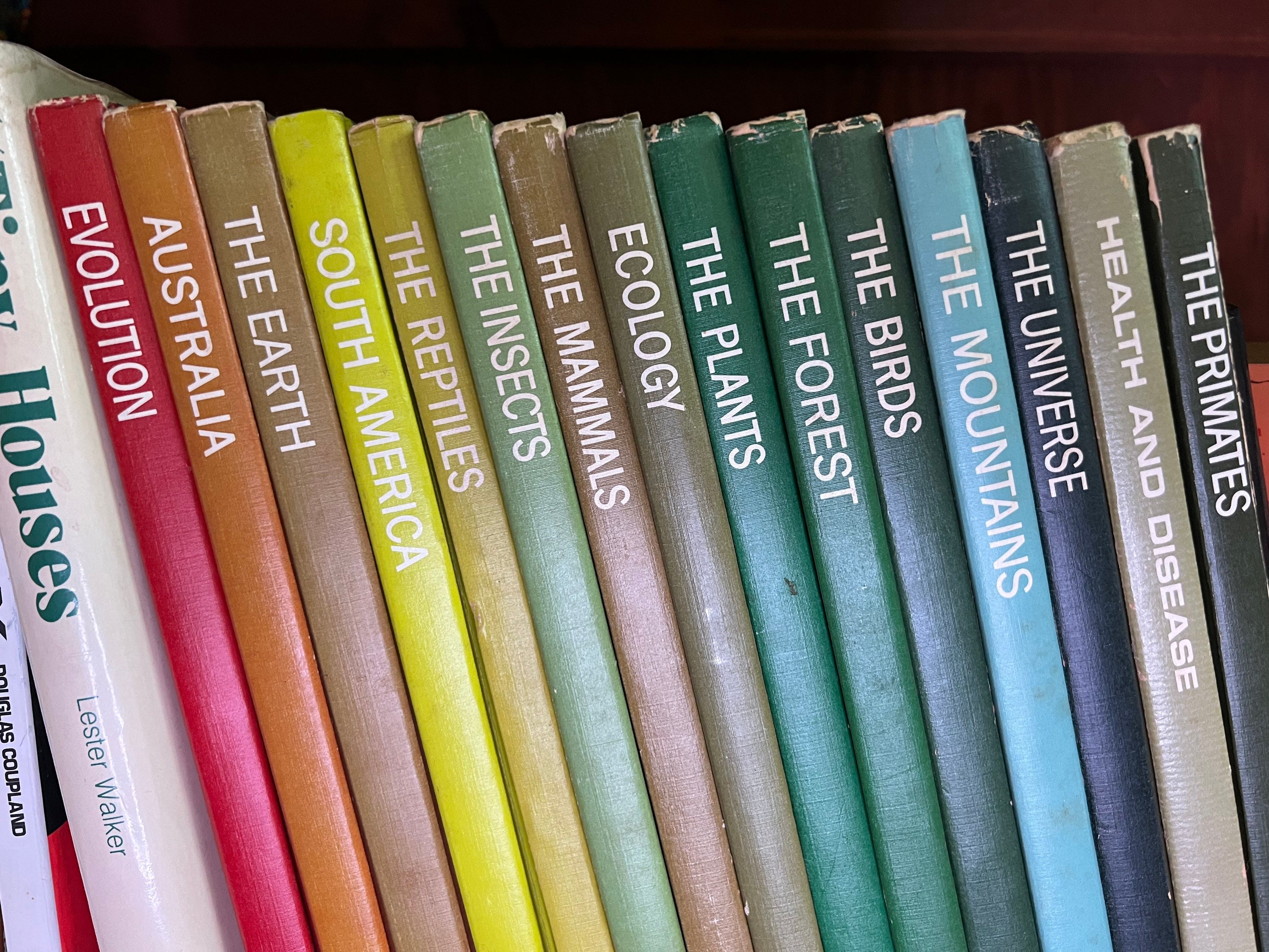 1969 Life Nature Library: the Mammals - Etsy