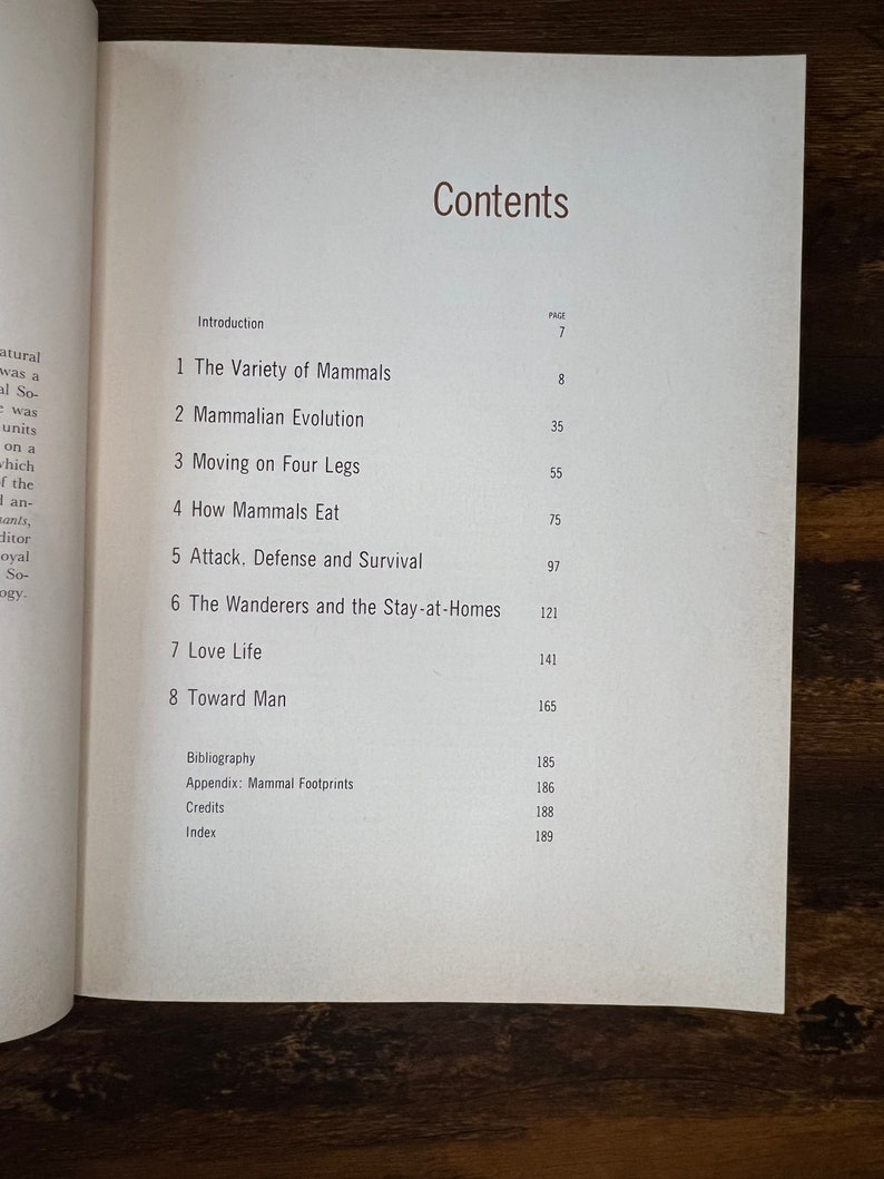 1969 Life Nature Library: the Mammals - Etsy