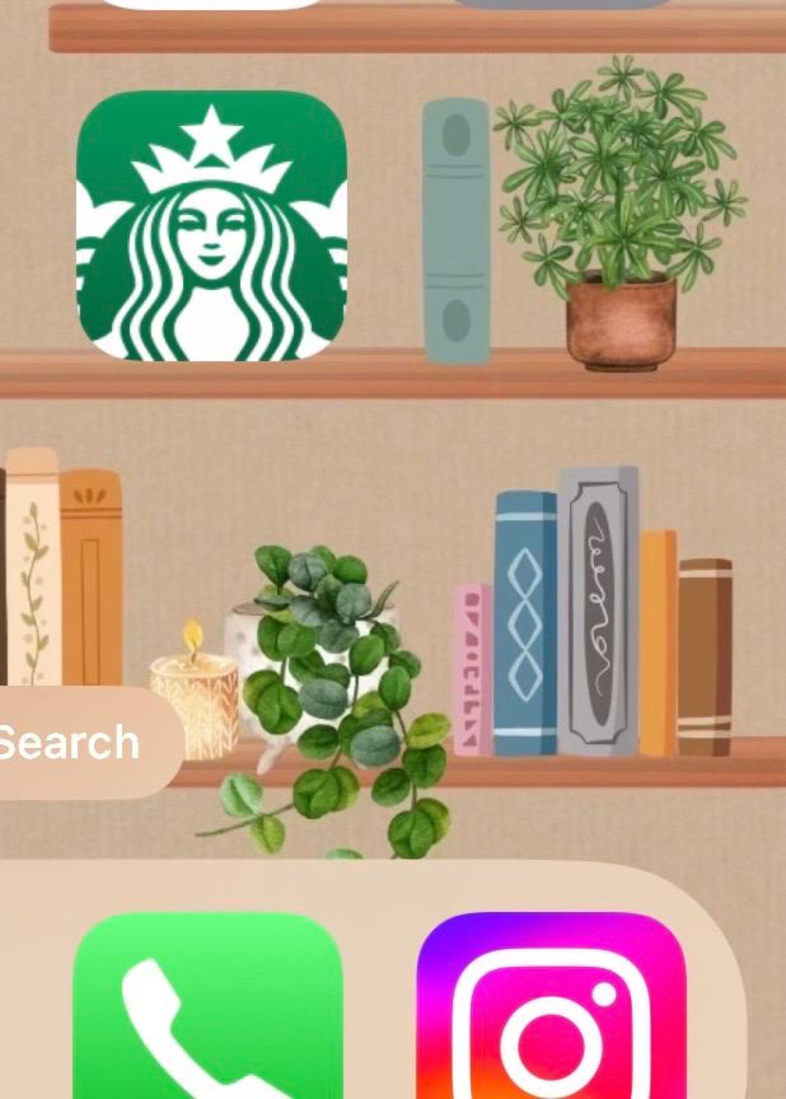 Bookshelf Ios18 Phone Background - Etsy