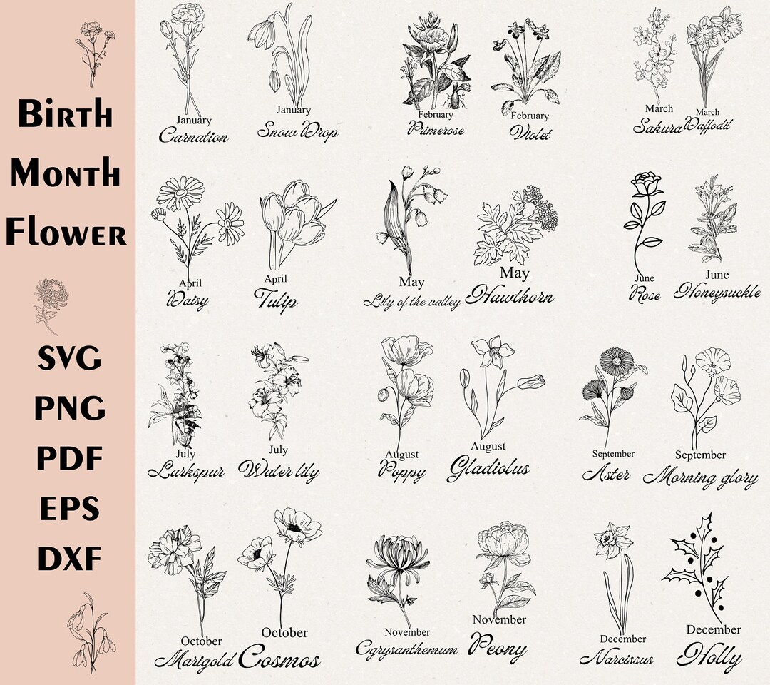 Birth Month Flowers Svg, Birth Flowers Name Svg, Dxf, Png, Jpg, Flower ...