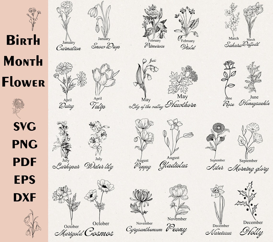 Birth Month Flowers Svg, Birth Flowers Name Svg, Dxf, Png, Jpg, Flower ...