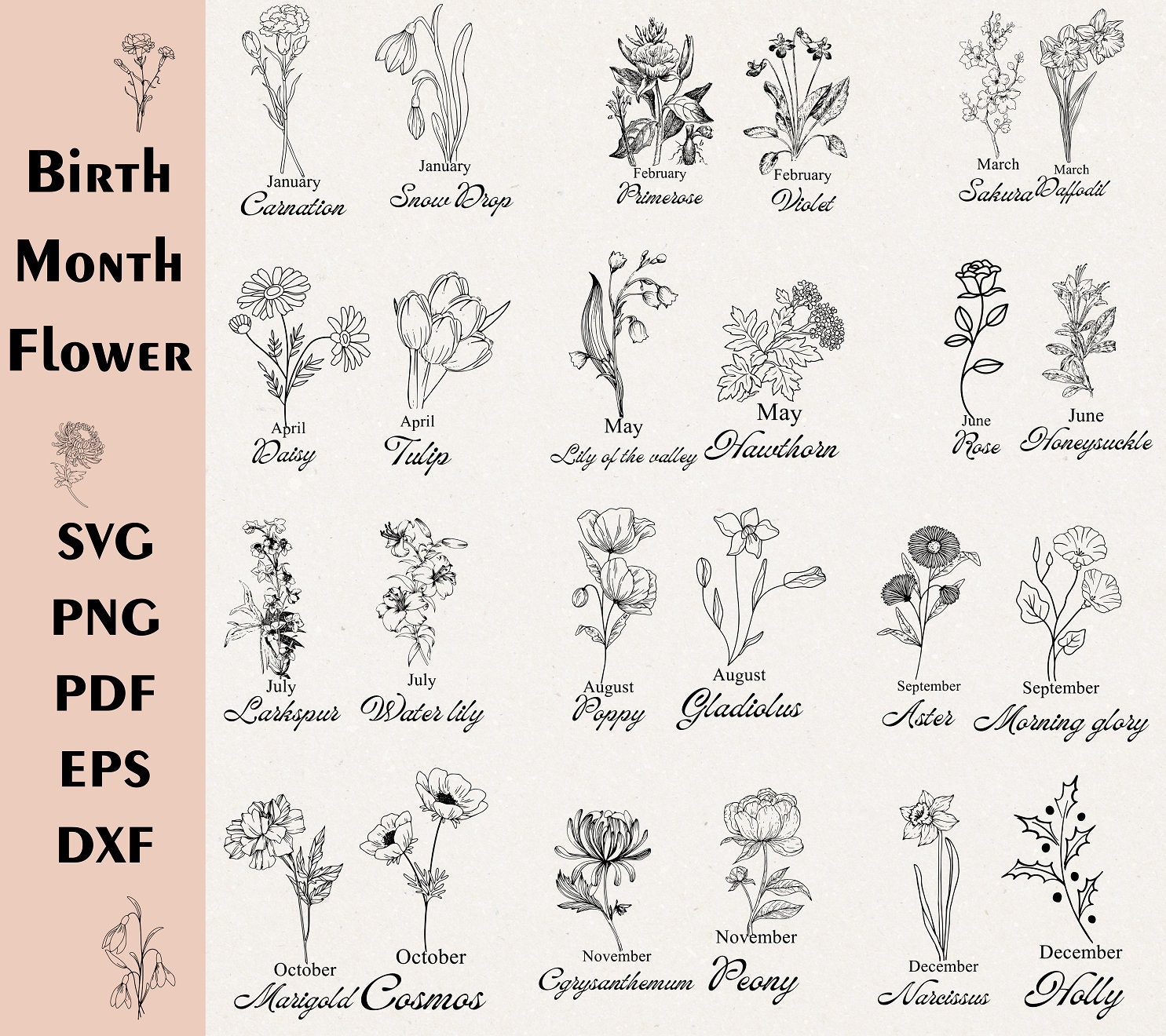 Birth Month Flowers Svg, Birth Flowers Name Svg, Dxf, Png, Jpg, Flower ...