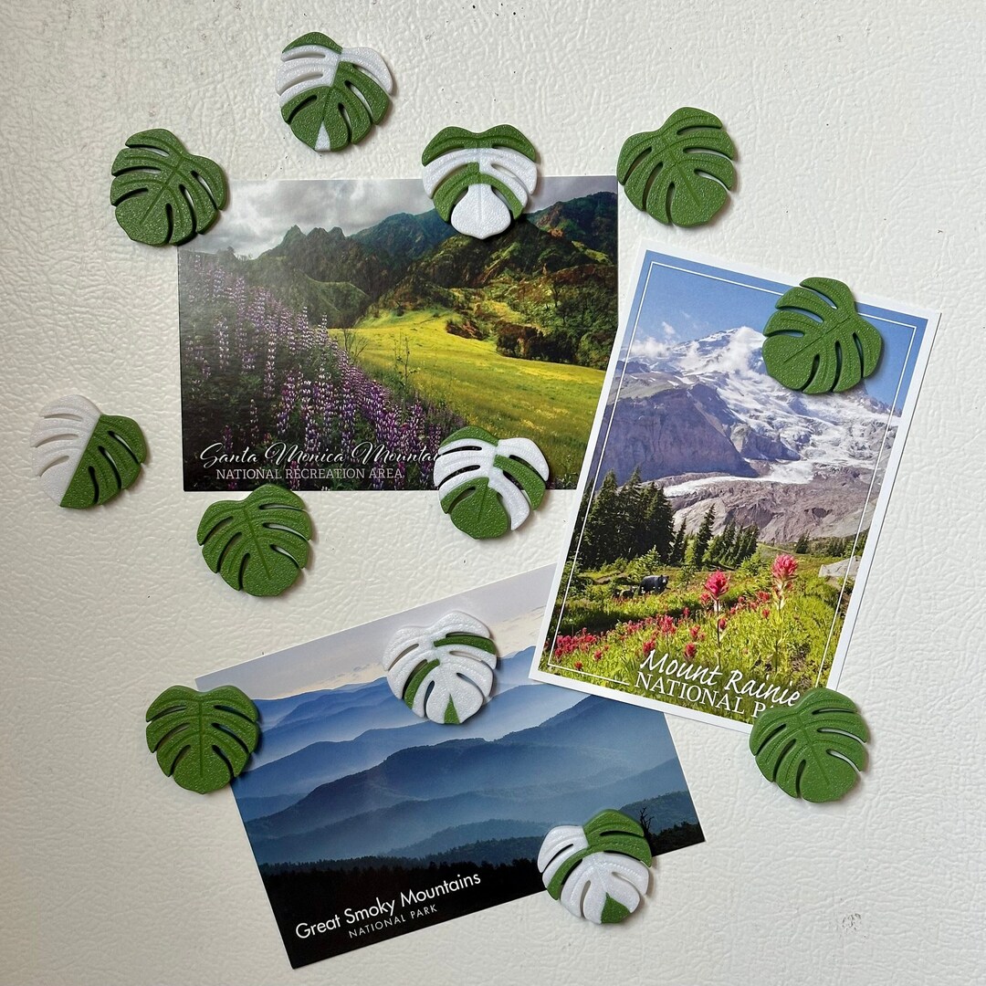 Monstera Leaf Magnets, 3d-printed Set - Etsy