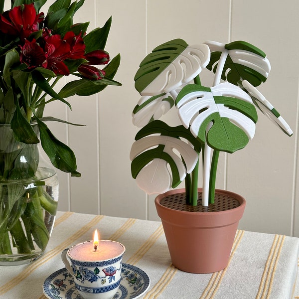 Monstera Decor - Etsy