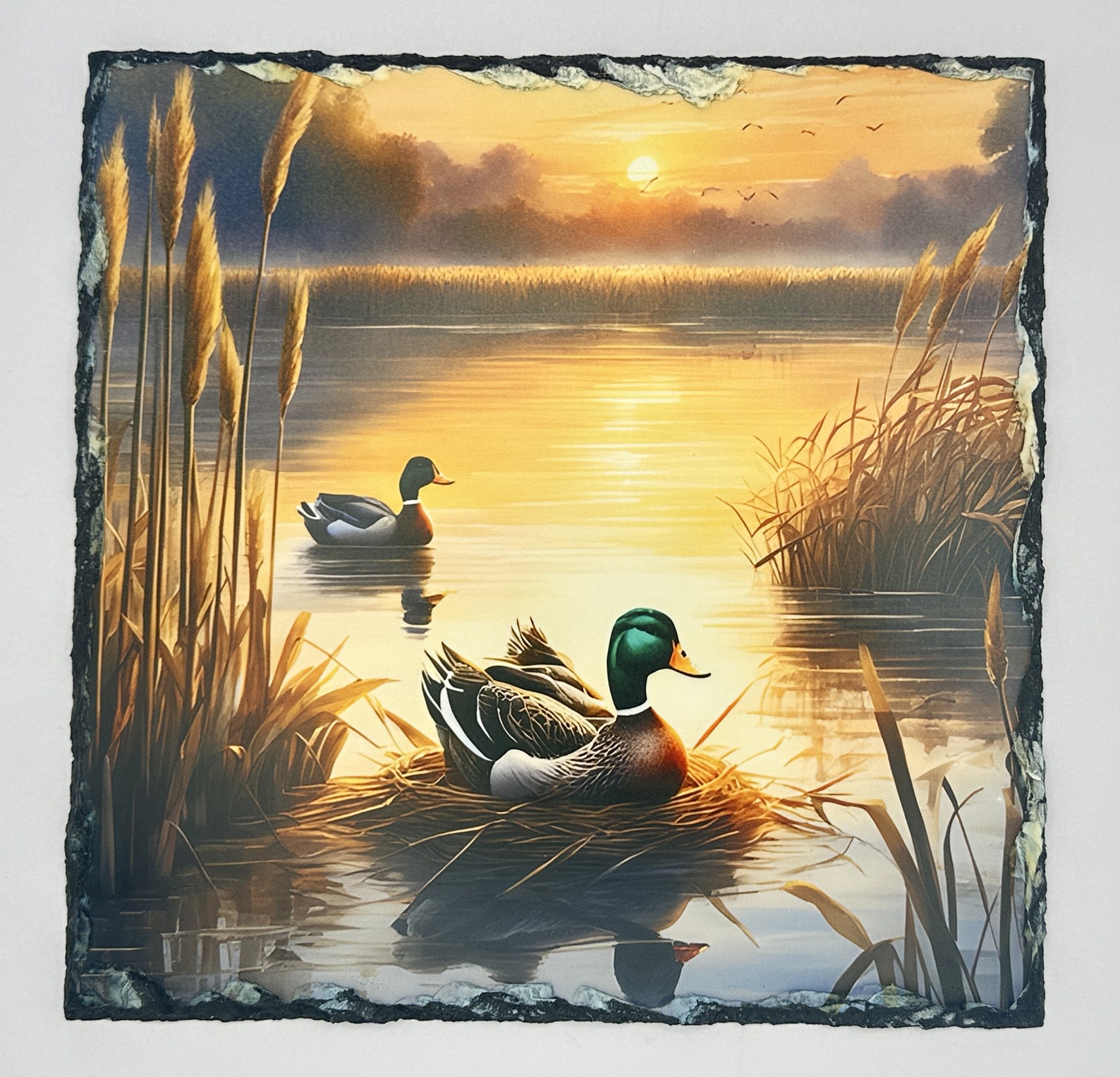 Ducks in a Pond Sq Slate - Etsy