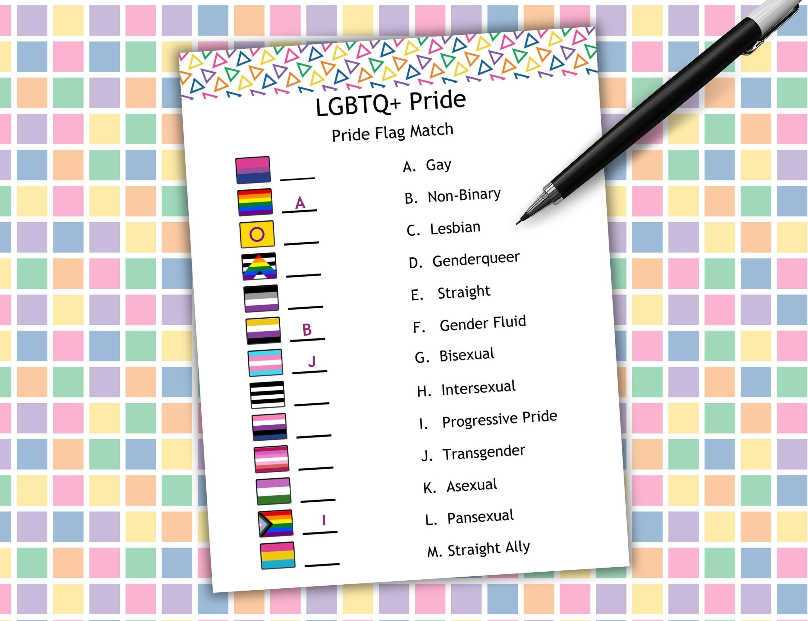 LGBTQ+ Pride, Flag Matching Game, Pride Month, Pride Celebration, Pride ...