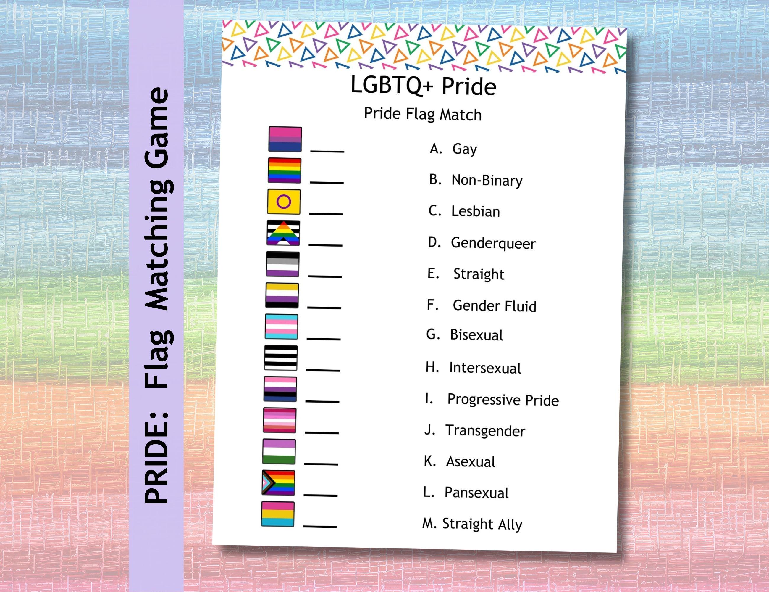 LGBTQ+ Pride, Flag Matching Game, Pride Month, Pride Celebration, Pride ...