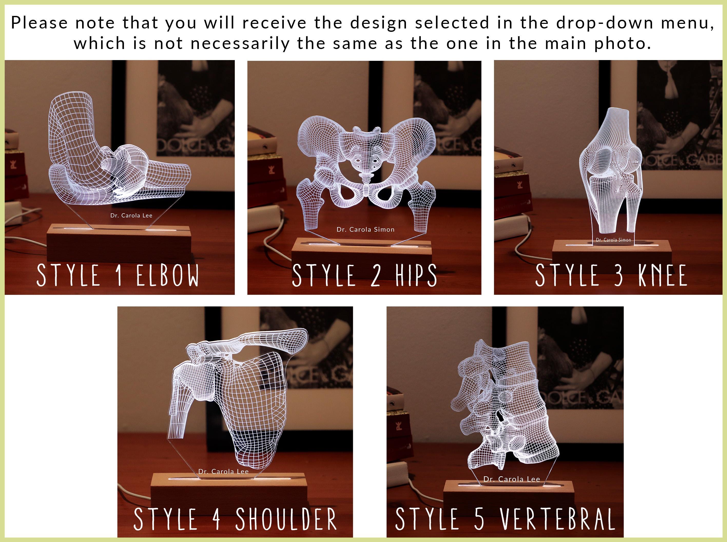 Vertebral LED Lamp: Personalized Spine Anatomy Desk Light, Graduation ...